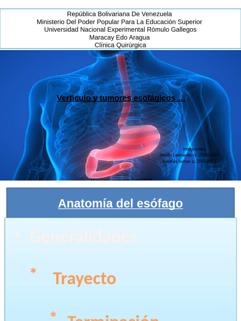 Esofago | PDF | Esófago | Abdomen