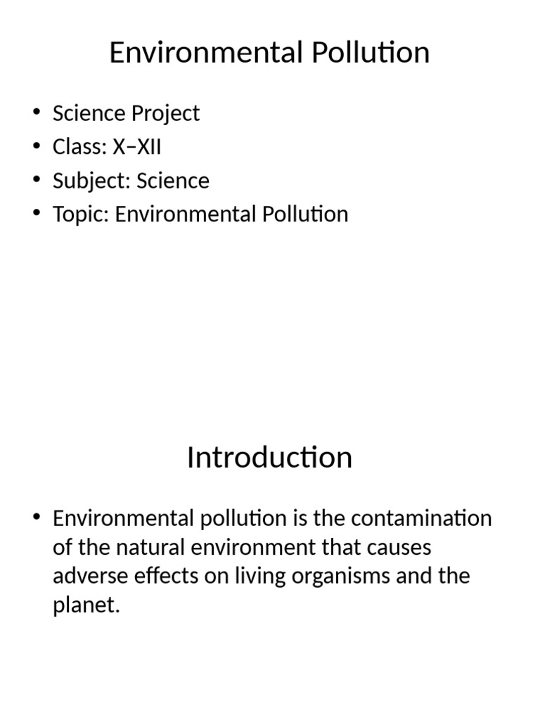 Pollution Project | PDF