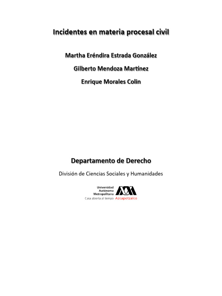 Libro de Incidentes | PDF | Sentencia (ley) | Demanda judicial