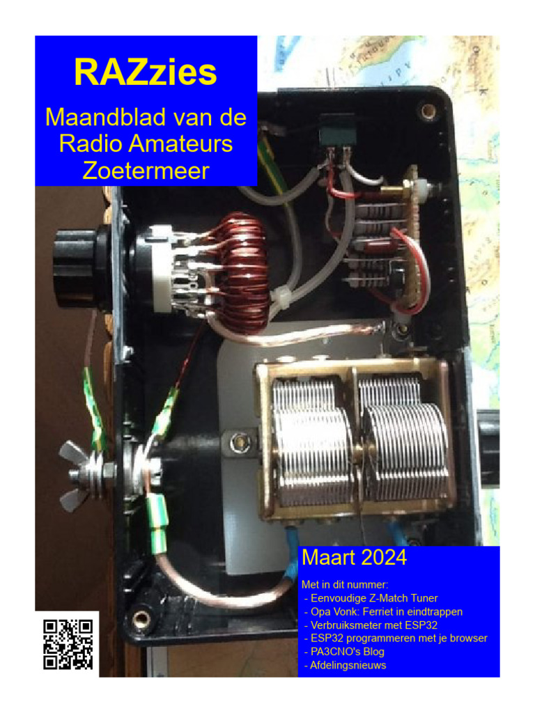 Razzies 202403 | PDF