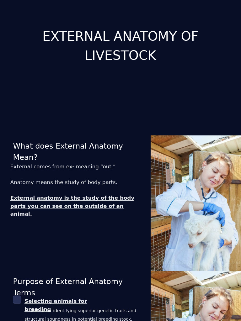 External Anatomy of Livestock Explained | PDF | Horses