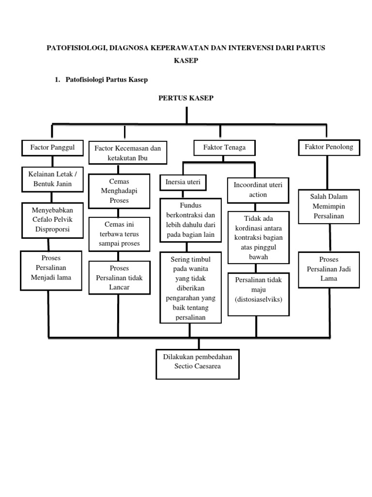 Patofisiologi Partus Kasep | PDF | Sains & Matematika