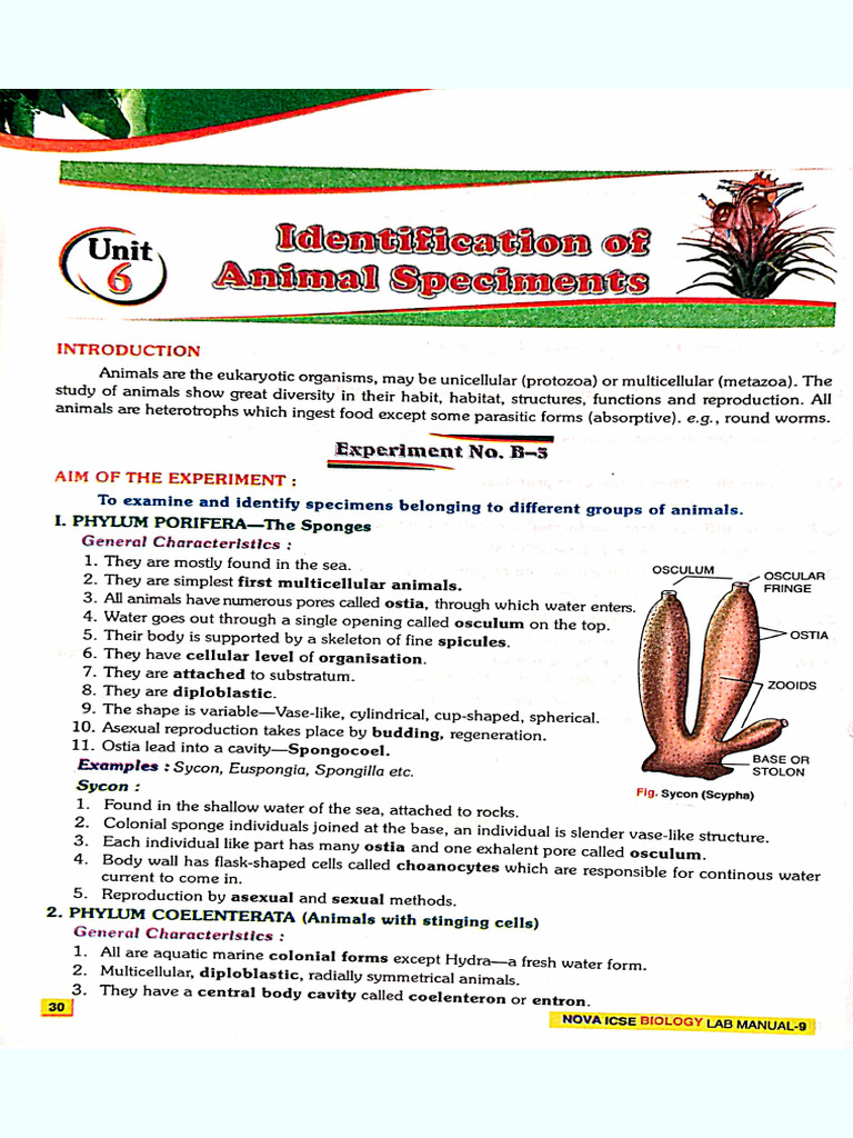 Sba. Cls Ix - Chap 6 2025 | PDF