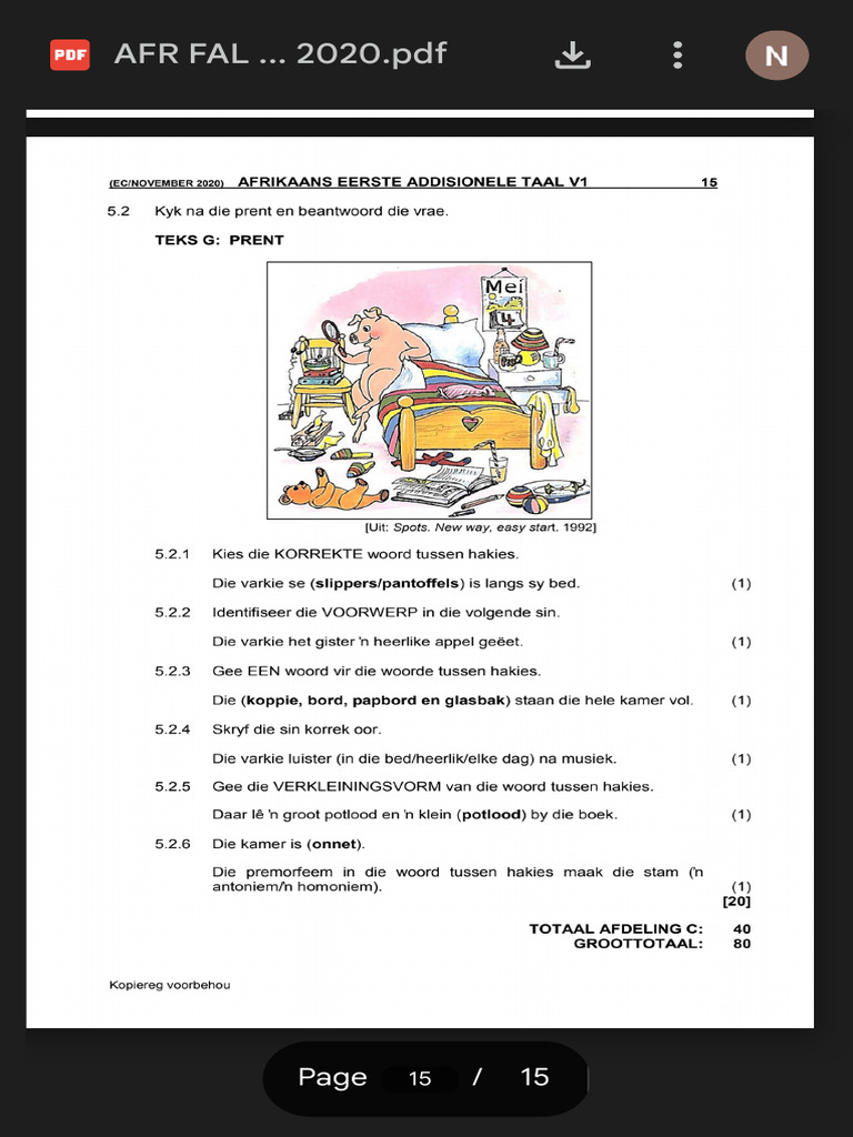 Afr Fal p1 Gr11 Qp Nov2020.PDF - Google Drive 2 | PDF