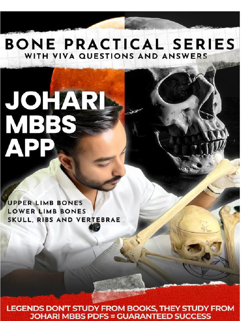 Skull Cranial Fossa Viva Anatomy - Johari Mbbs | PDF | Skeletal System ...