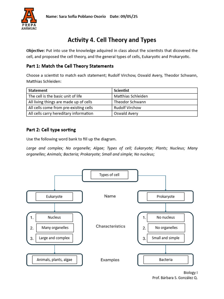 Act 4 - Cell Theory and Types | PDF | Cell (Biology) | Organelle