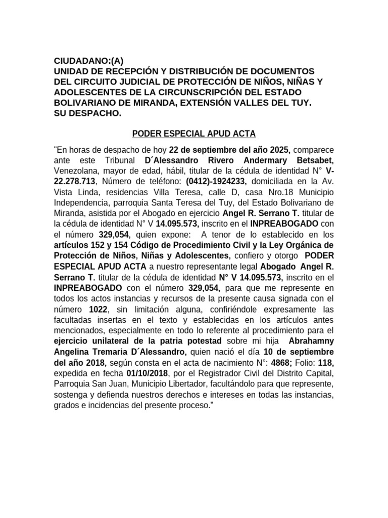 Poder Especial para Representación Legal | PDF