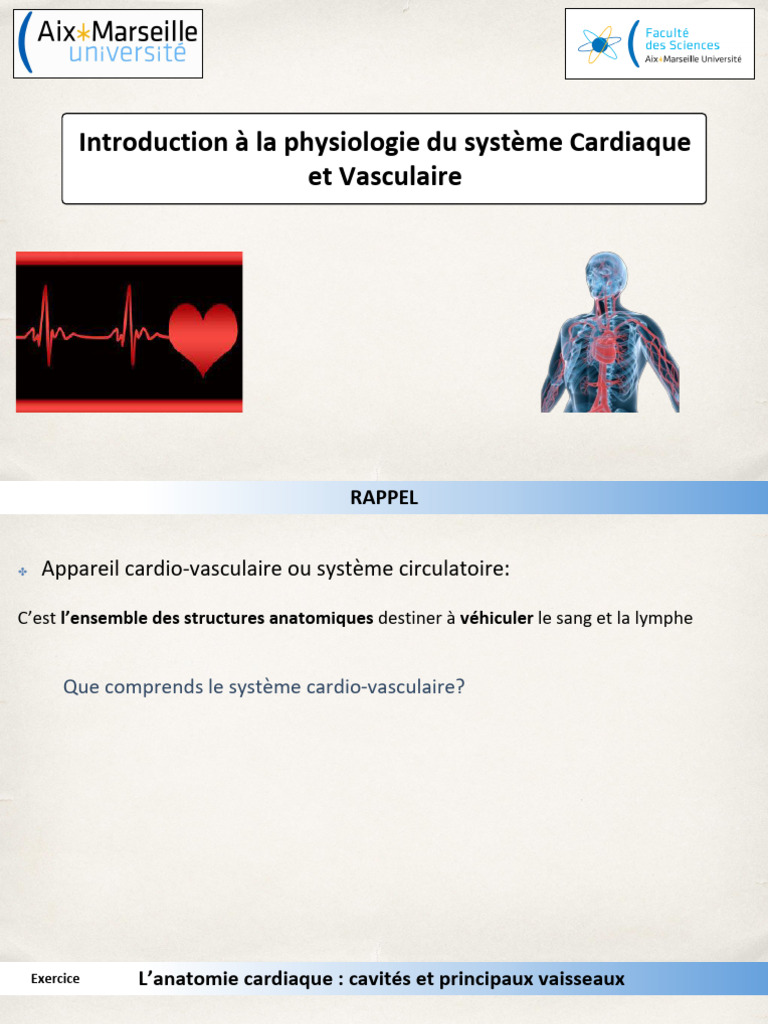Physiologie du Système Cardiaque et Vasculaire | PDF | Atrium (anatomie ...