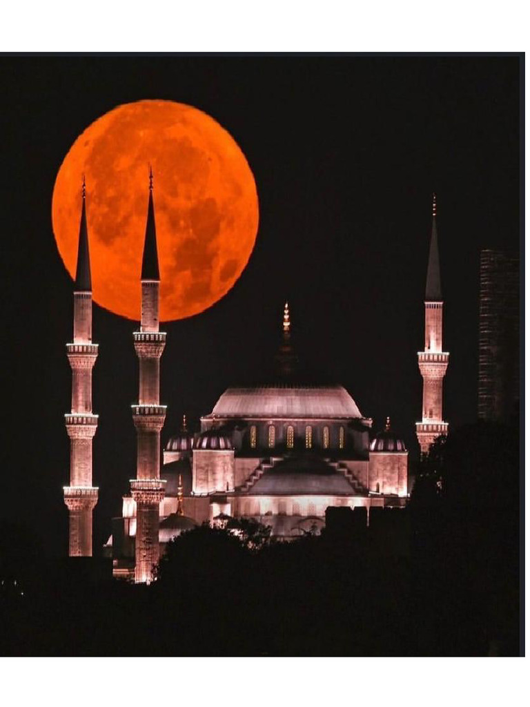 Understanding Allah's Sovereignty and Purpose | PDF | Prophets And ...