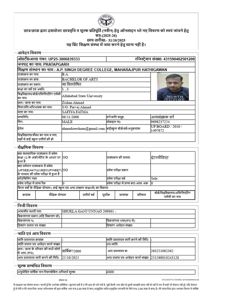 Summary Report Zishan Ahmad | PDF