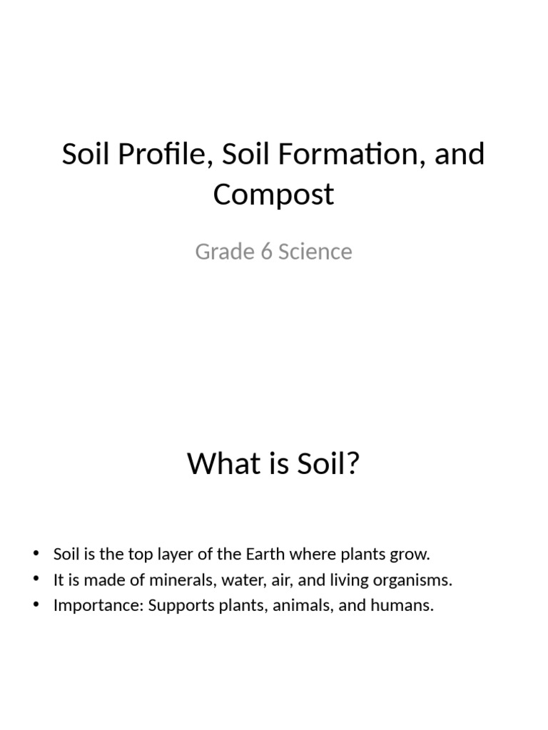 Soil Profile Formation Compost Grade6 | PDF