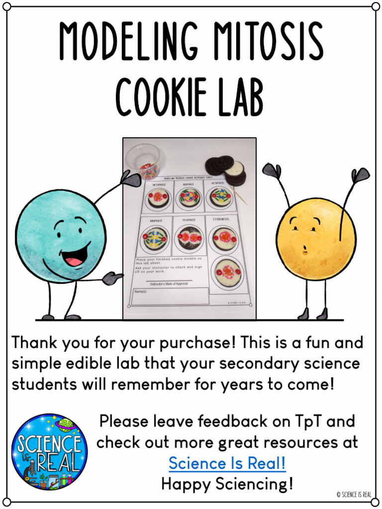 Mitosis Cookie Lab Activity Guide | PDF | Mitosis | Chromosome