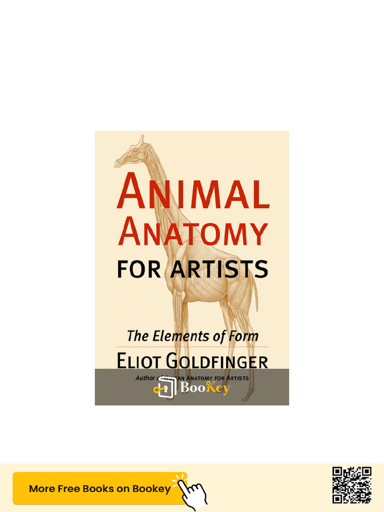 Animal Anatomy Guide for Artists | PDF | Anatomy | Pelvis
