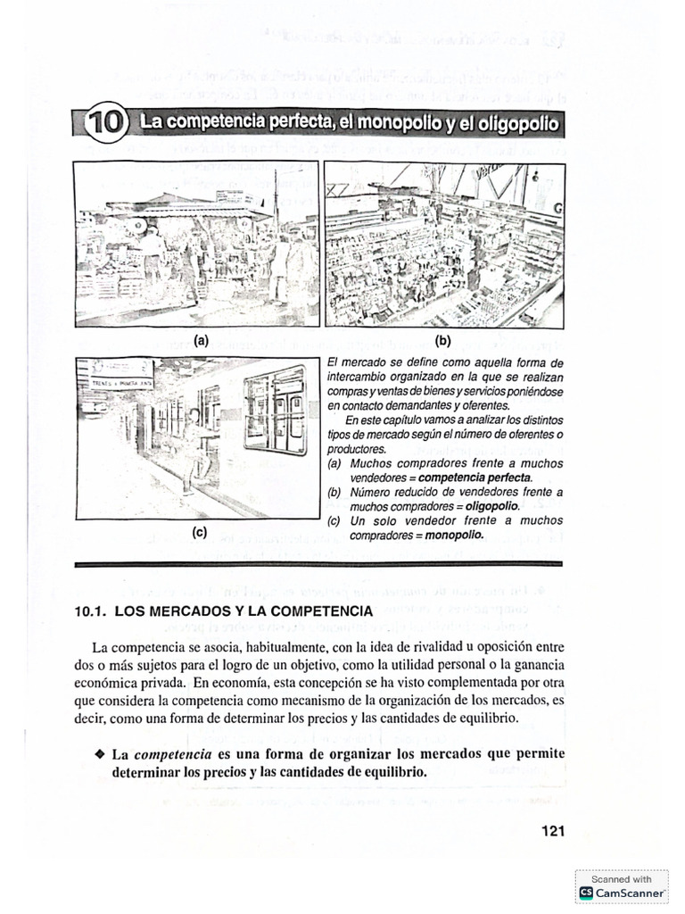 Competencia Perfecta | PDF