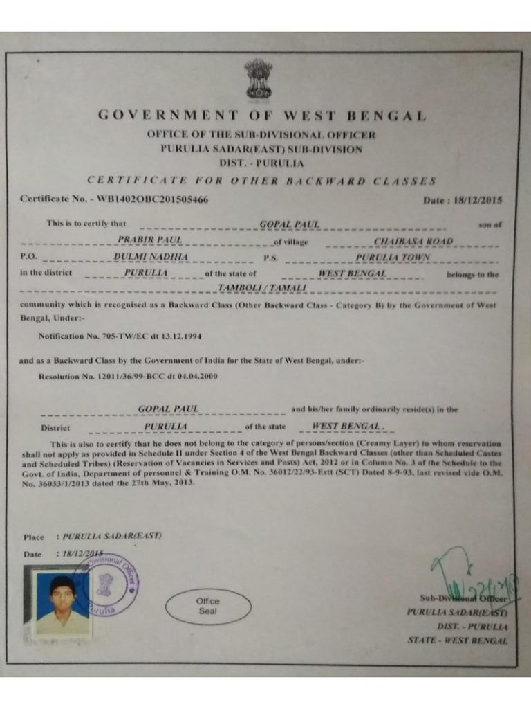 Caste Certificate | PDF