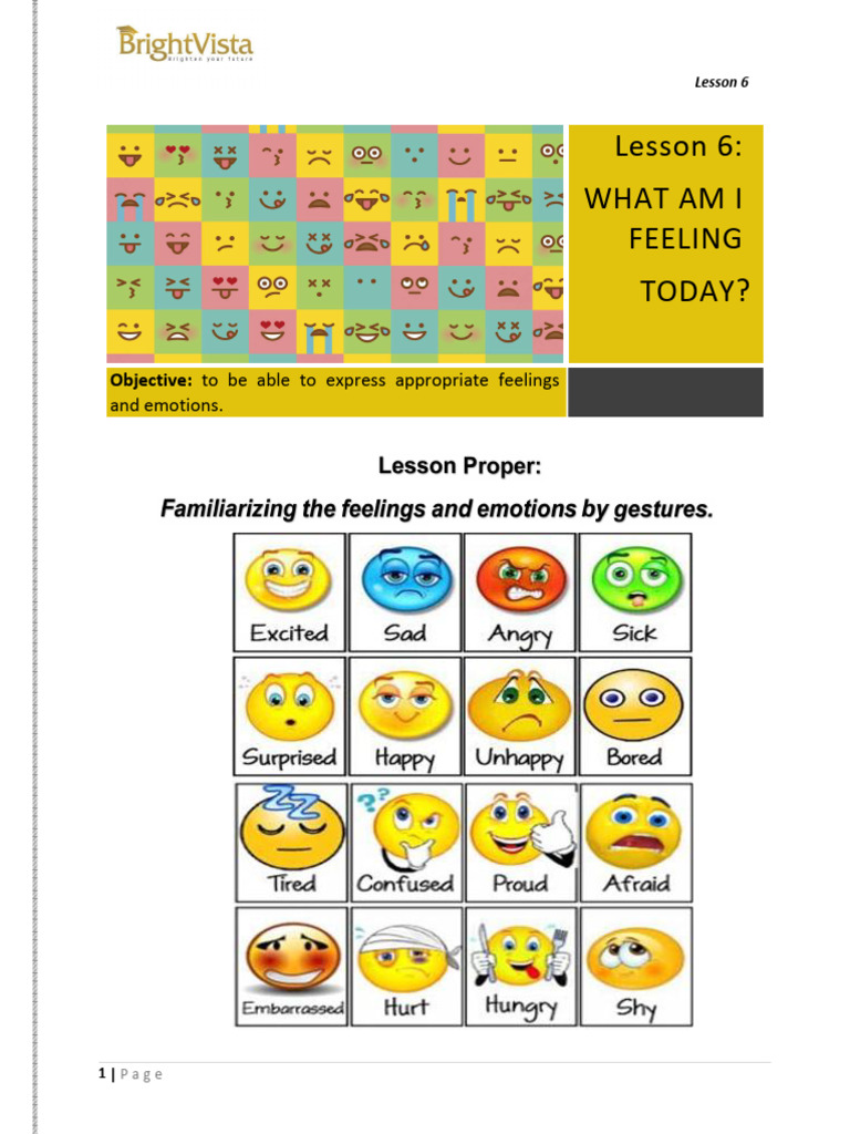 Understanding Emotions Activity Guide | PDF