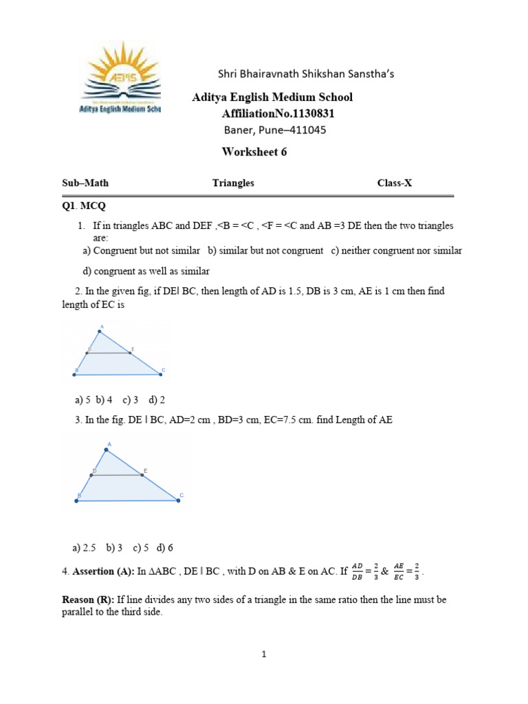 Class X Math Worksheet on Triangles | PDF