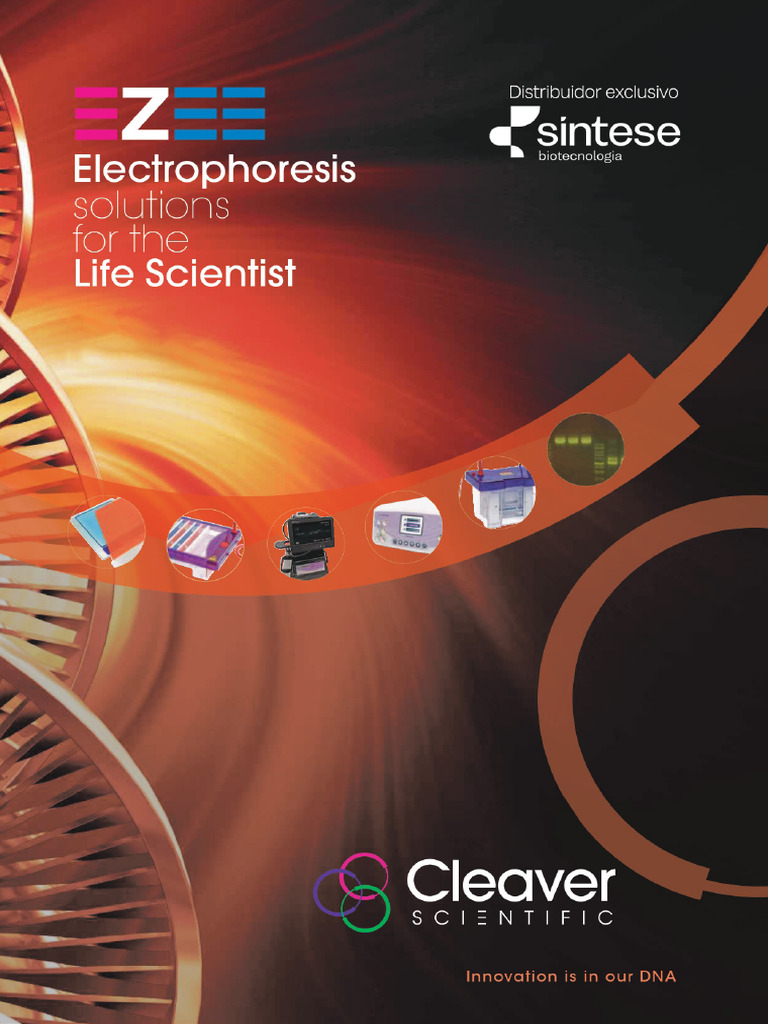 Electrophoresis Solutions for Life Scientists | PDF | Agarose Gel ...