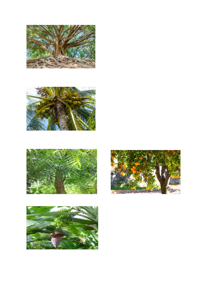 New Microsoft Word Document | PDF