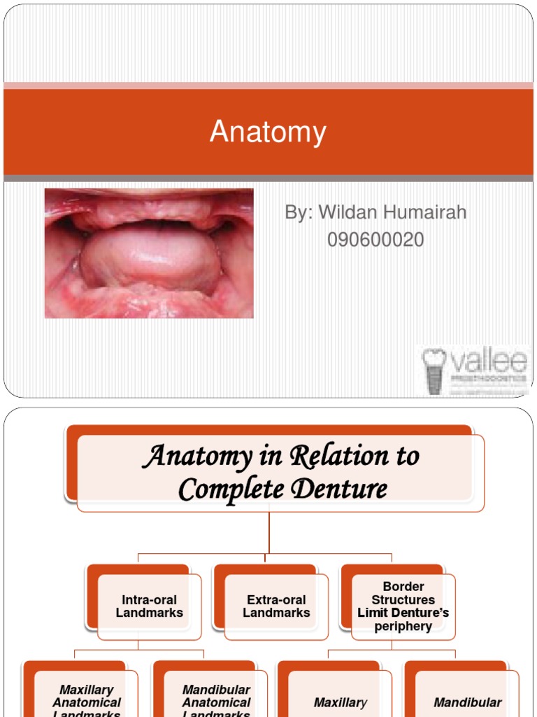 Anatomy Landmark | Lip | Dentures