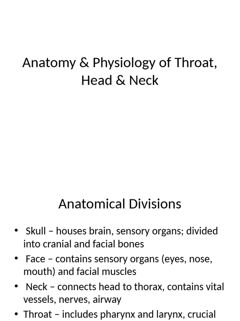 Anatomy Physiology Throat Head Neck MBBS Expanded | PDF | Neck | Common ...