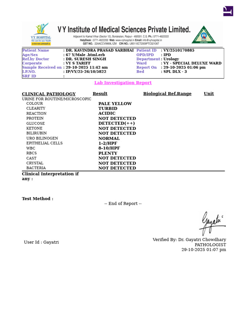 2025302-77 Lab Normal Report | PDF