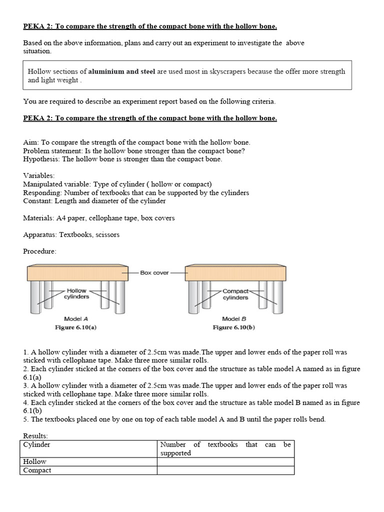Comparing Strength of Bone Types Experiment | PDF | Experiment
