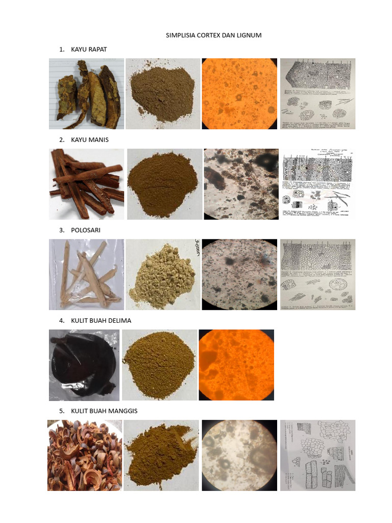 Gambar Simplisia Cortex & Lignum | PDF