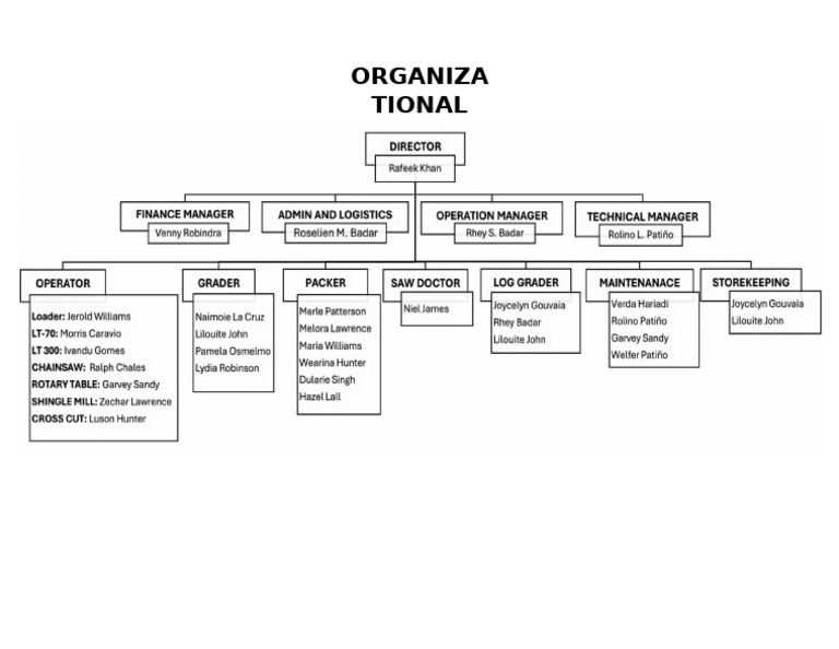 Organizational Chart PDF | PDF