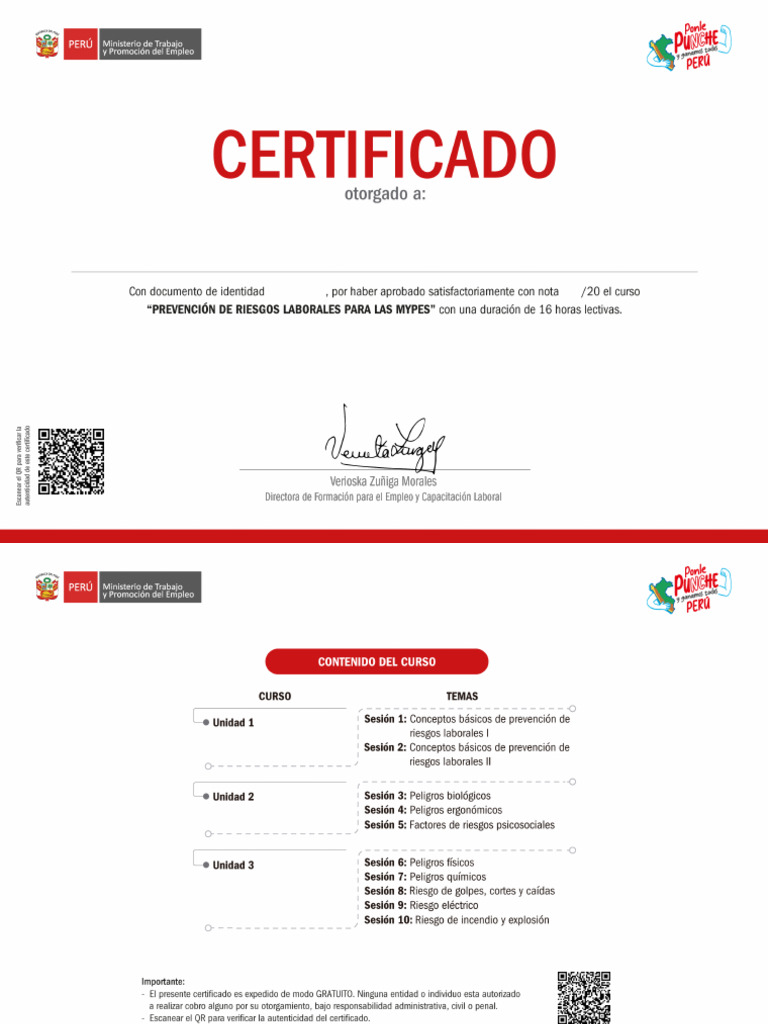 MYPES | PDF