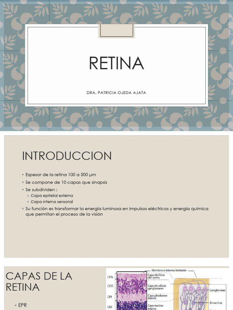 Anatomía y patologías de la retina | PDF | Retina | Enfermedades y ...
