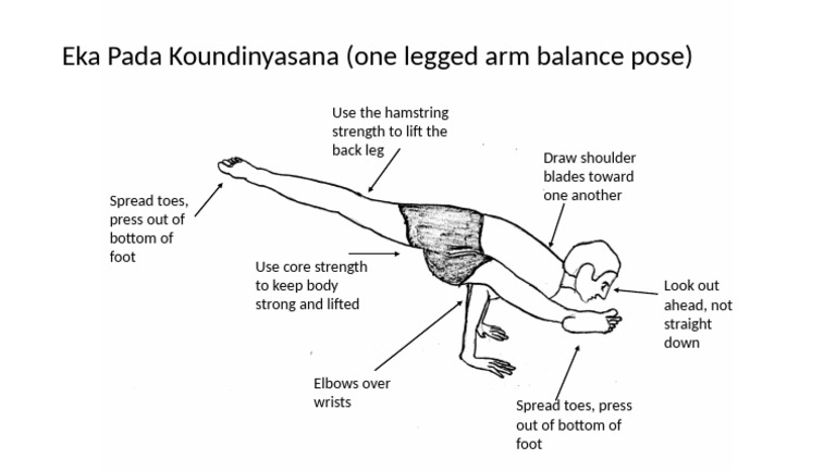 Eka Pada Koundinyasana (One Legged Arm Balance Po | PDF