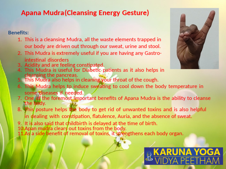 Apana Mudra (Cleansing Energy Gesture) PP | PDF