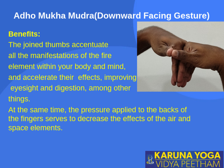 Adho Mukha Mudra Benefits | PDF