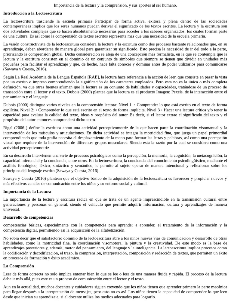 Importancia de la Lectura y Comprensión | PDF | Aprendizaje | Escritura
