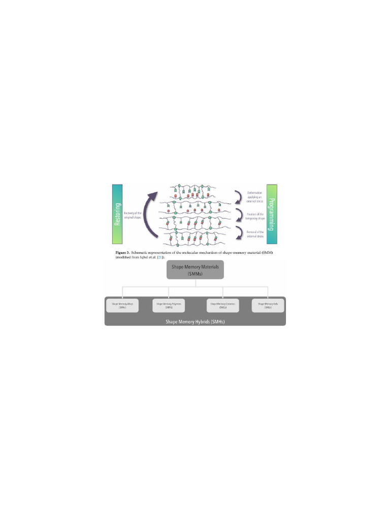 Poster Shape Memory Materials | PDF