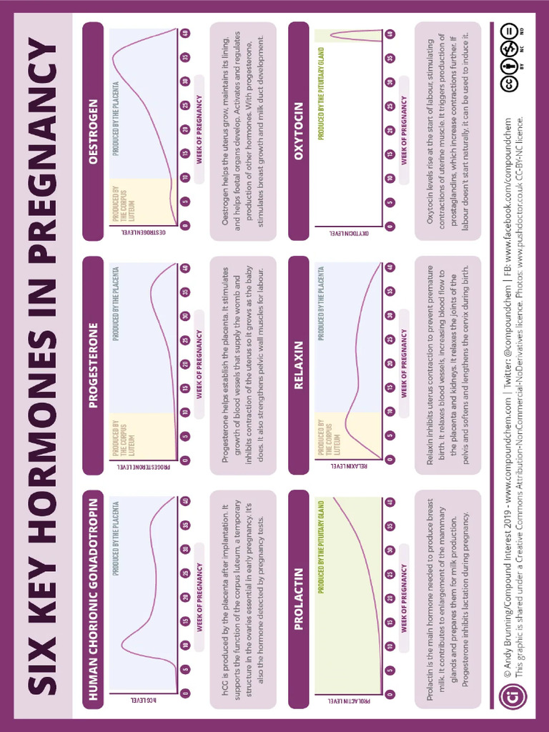 Six Key Pregnancy Hormones - PNG | PDF