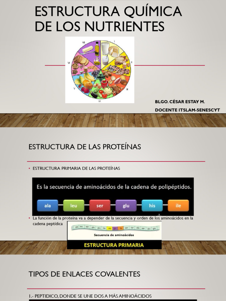Estructuras de Los Nutrientes | PDF