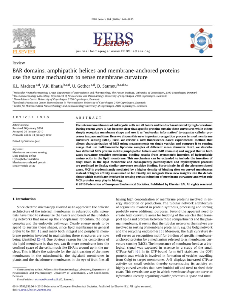 BAR Domains Amphipathic Helices and Membrane Anchored Proteins 2010 ...