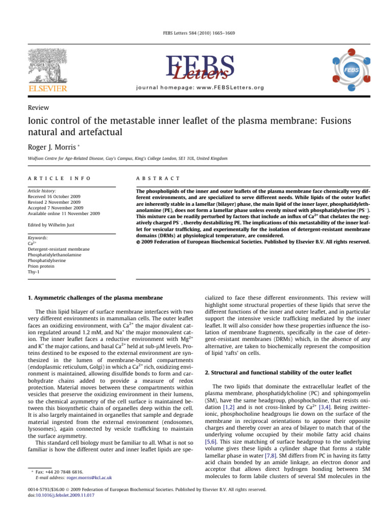 Ionic Control of The Metastable Inner Leaflet of The Plasma Mem 2010 FEBS Le | PDF | Biological ...