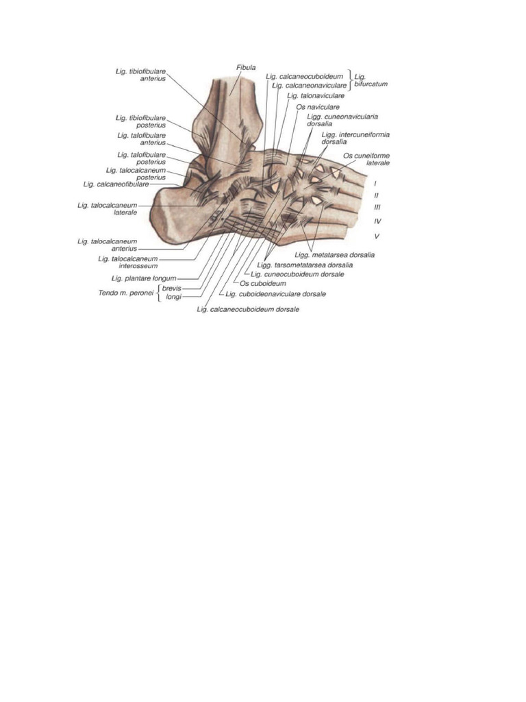 Stopa | PDF