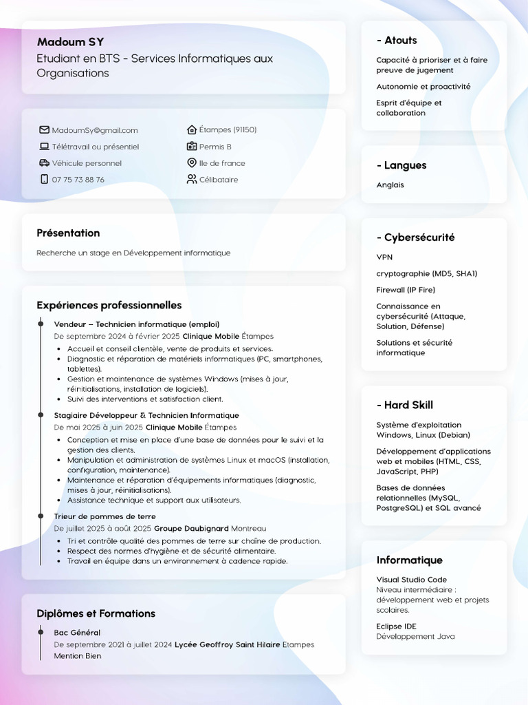 CV 2025-09-23 Madoum Sy | PDF