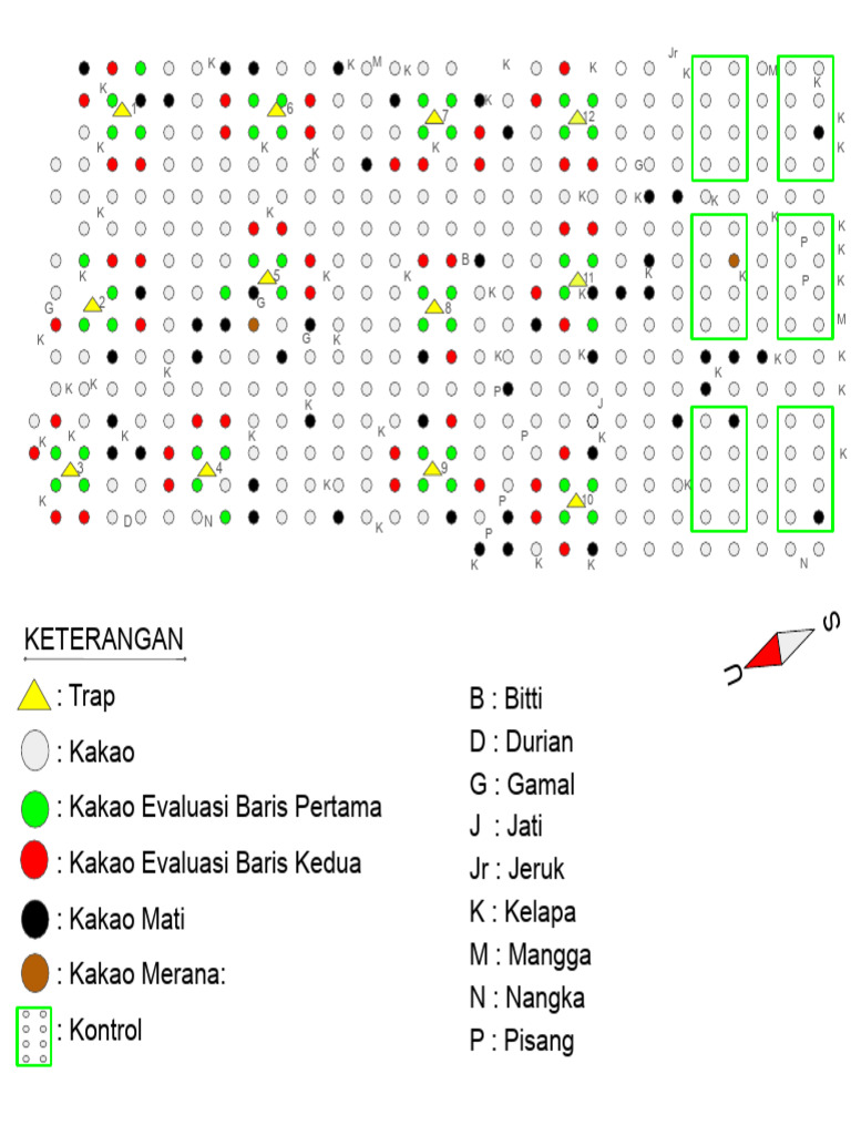 Denah Kebun Kakao Kolaka (1) | PDF