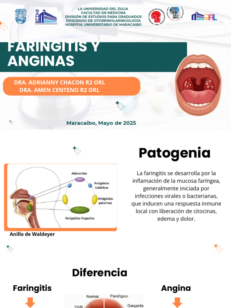 Faringitis y Anginas: Causas y Tratamiento | PDF | Microbiología ...