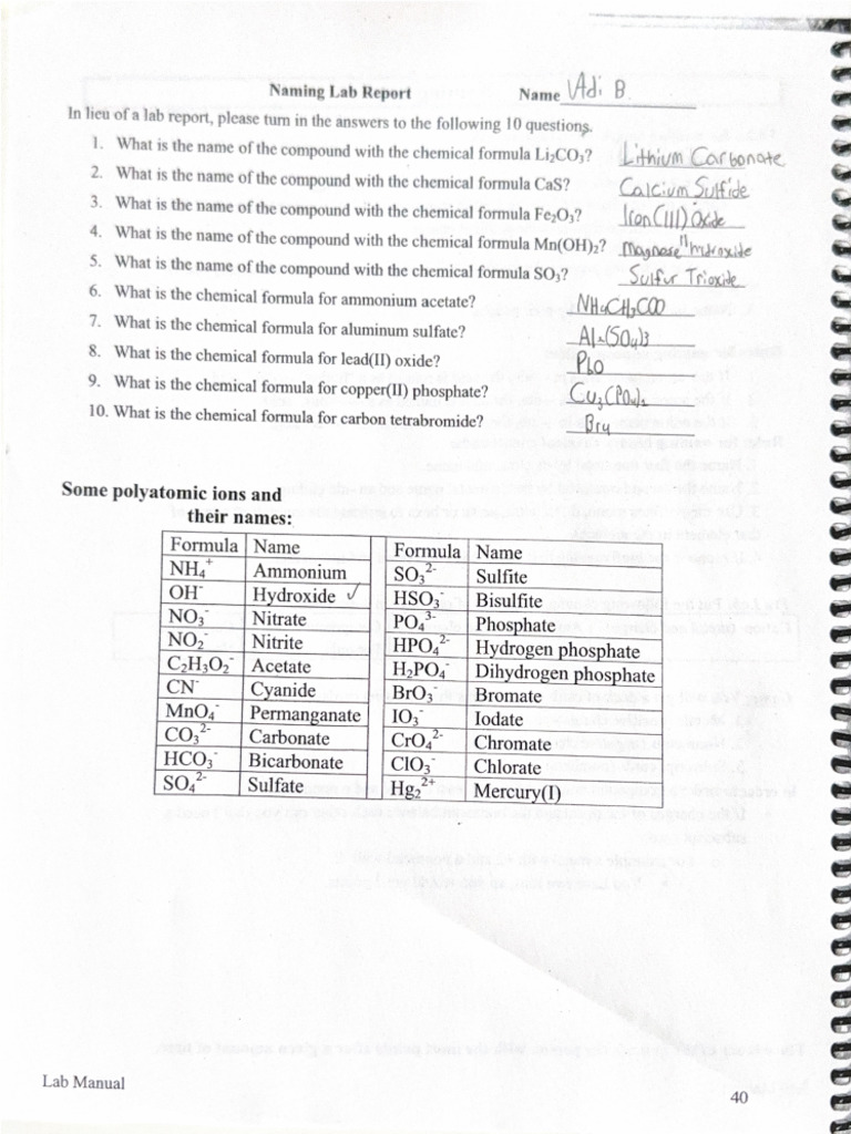 Naming Lab | PDF