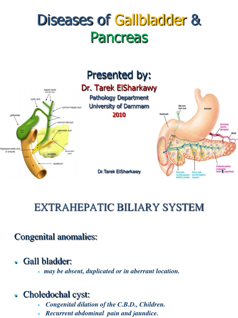 Gall Bladder & Pancreas 2010 | Pancreas | Gallbladder