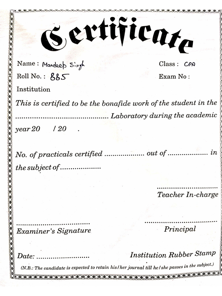 Cpa Lab File | PDF