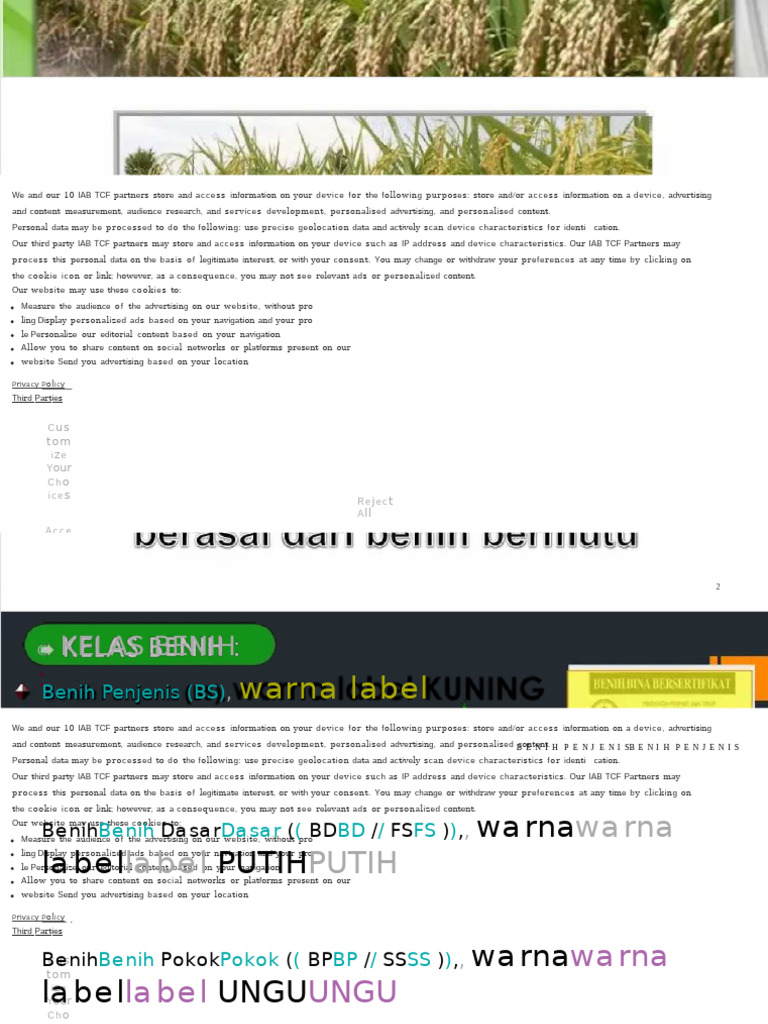 PDF Materi Roguing Tanaman Padi | PDF | Http Cookie | Advertising
