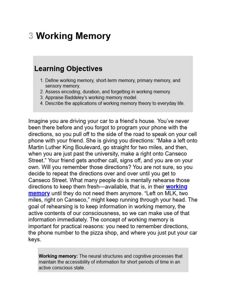 Chapter 3 - Working Memory | PDF | Memory | Recall (Memory)