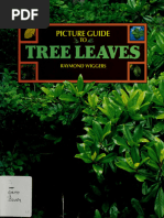 Tennessee Tree Identification Guide | PDF | Trees | Oak